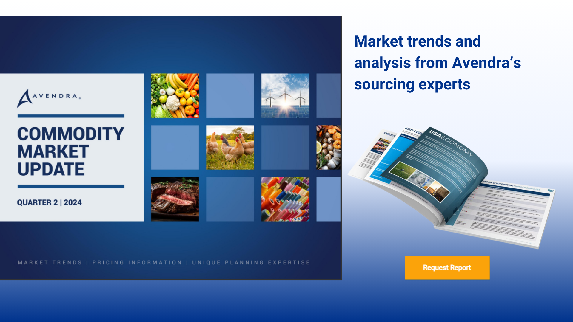Avendra | Commodity Market Update Q2 2024